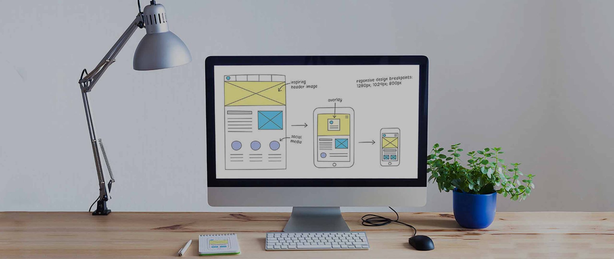 Key Universal Web Design Basic Principles | Envisager Studio
